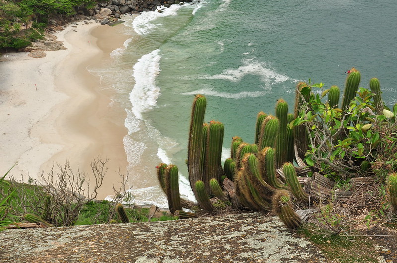 Wild Beaches | Riotur.Rio